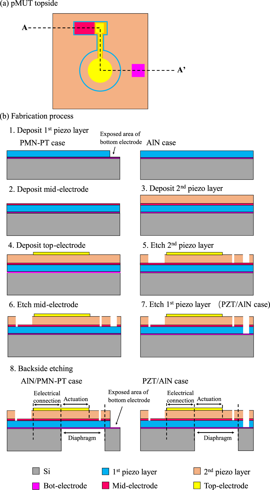 Fabrication of a piezoelectric micromachined ultrasonic transducer ...