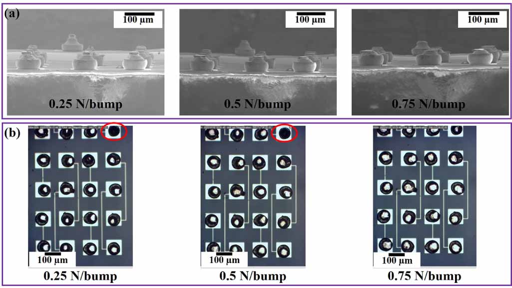 Displacement-controlled coining of large arrays of gold stud bumps ...