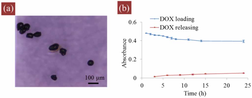 Drug loading and drive control of magnetic microsphere robot - IOPscience