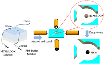 Drug loading and drive control of magnetic microsphere robot - IOPscience