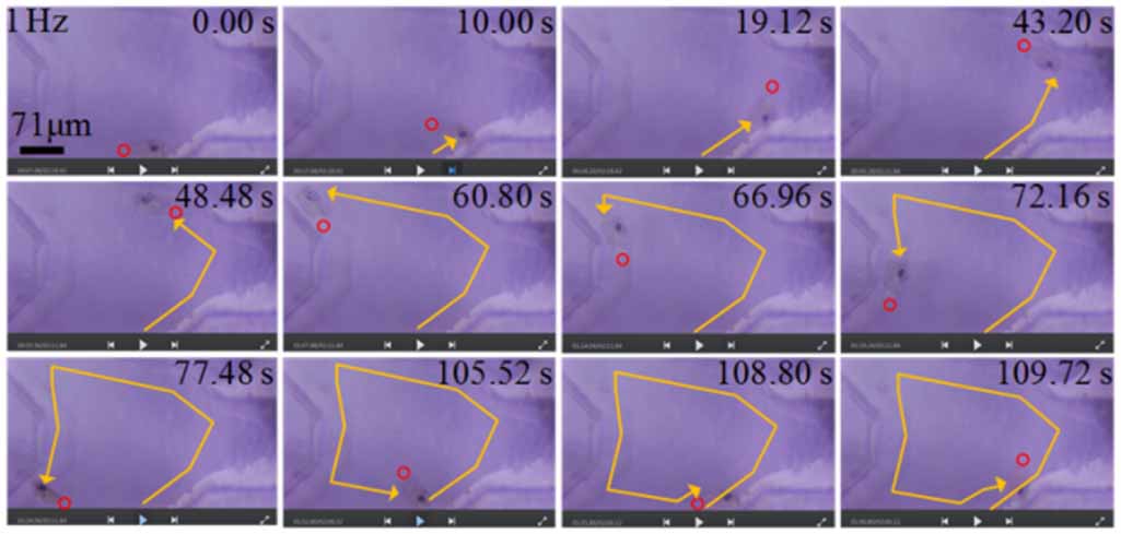 Drug loading and drive control of magnetic microsphere robot - IOPscience