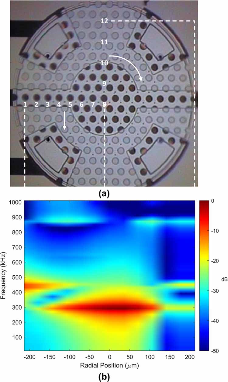 A memristor-free MEMS neuristor utilizing CMUT voltage hysteresis and ...