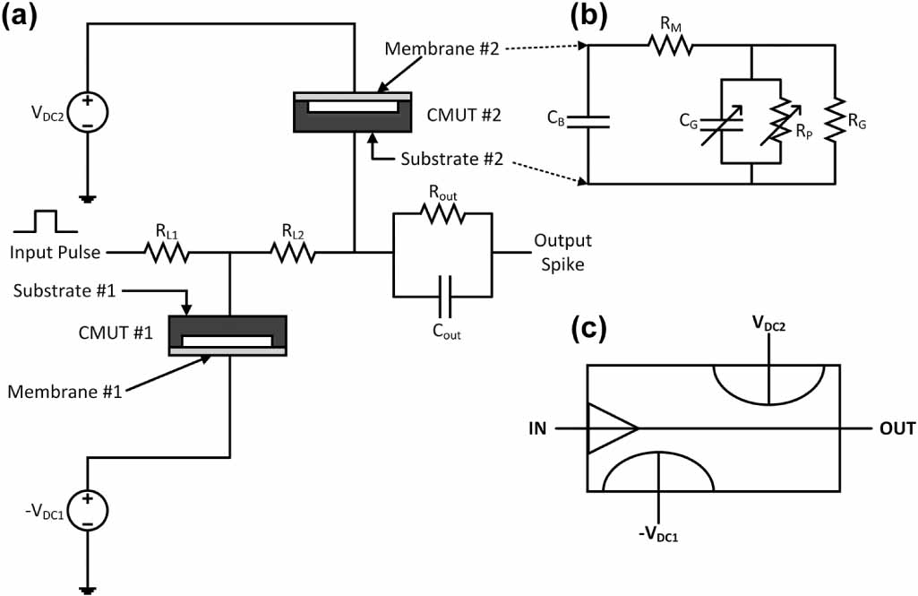 A memristor-free MEMS neuristor utilizing CMUT voltage hysteresis and ...