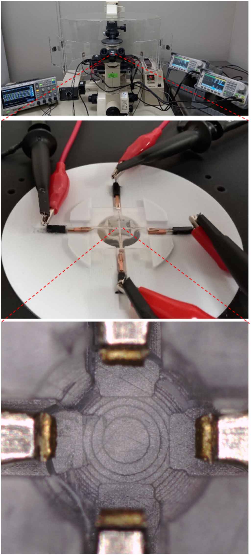 A 3D-printed microdevice for dielectrophoretic torque–driven rotation ...