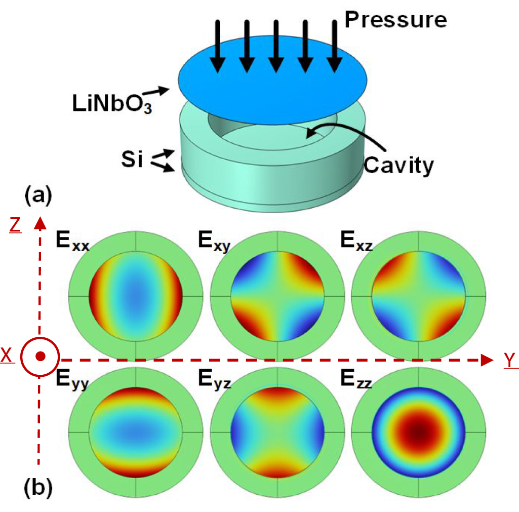 Ultra-high sensitive SAW pressure sensor based on anisotropic LiNbO3 ...