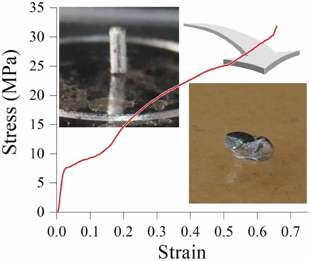 Mechanical behaviours of solid–liquid composites filled with liquid ...