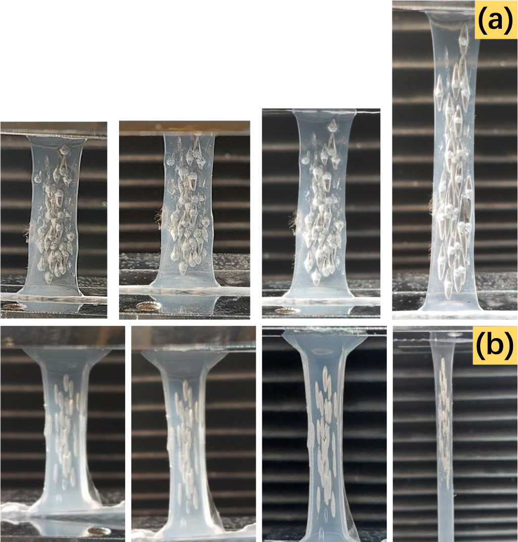 Mechanical behaviours of solid–liquid composites filled with liquid ...