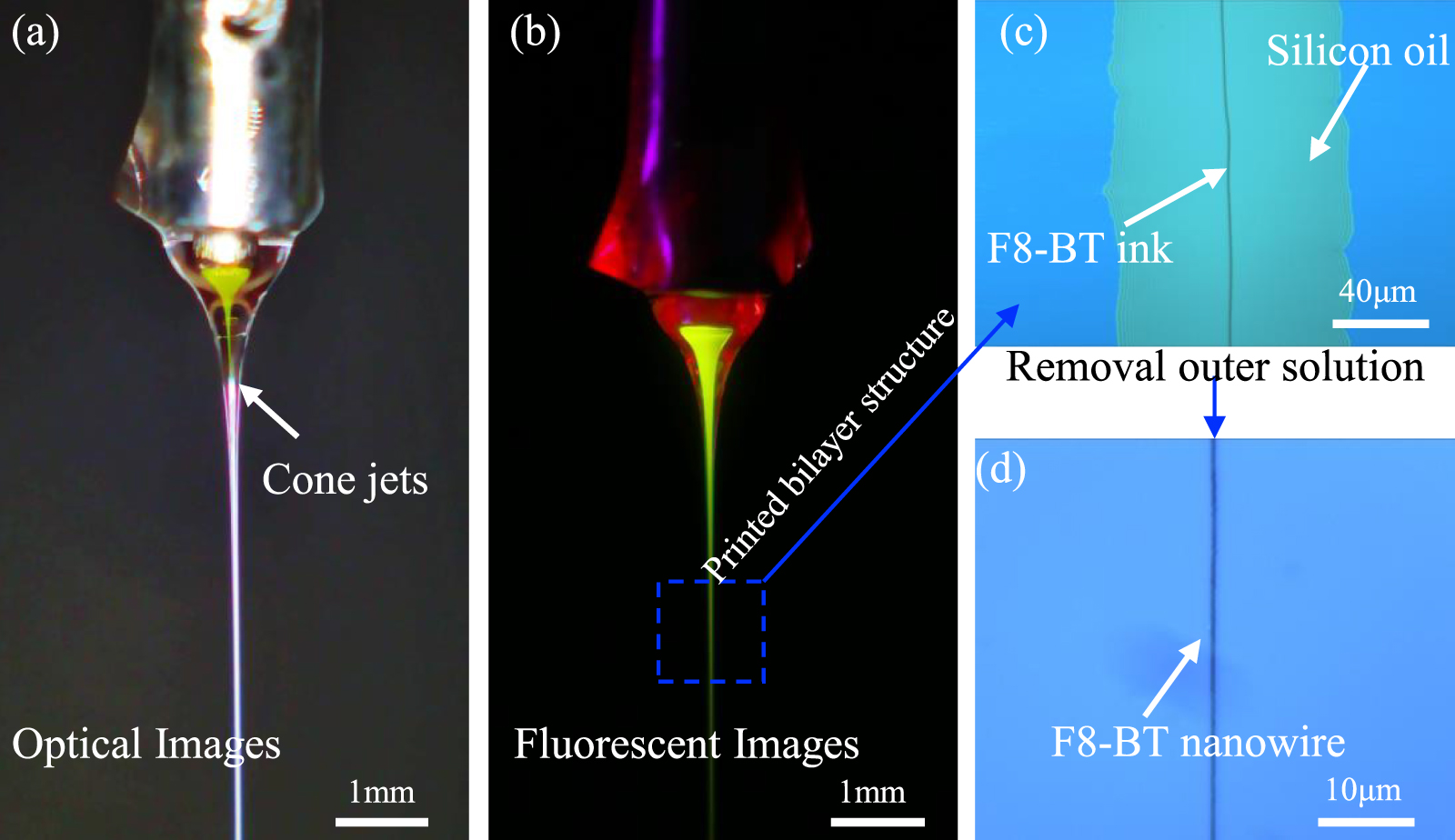 Micro- and nanoscale patterning of fluorescent materials via coaxial ...