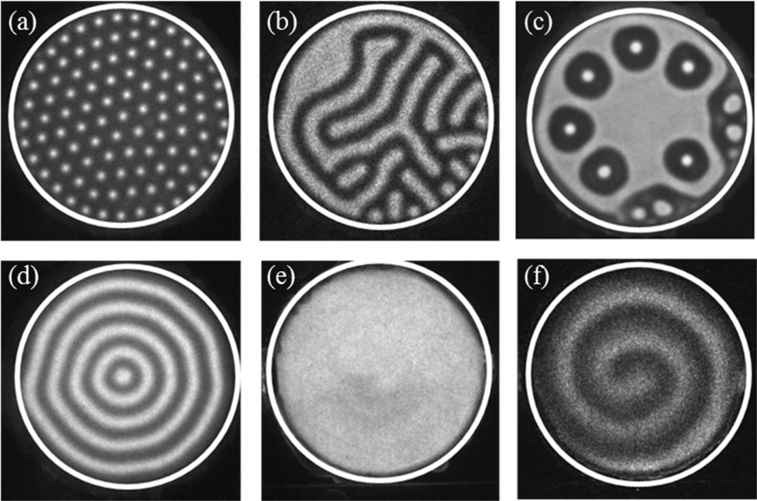Pattern formation and dynamics of plasma filaments in dielectric ...
