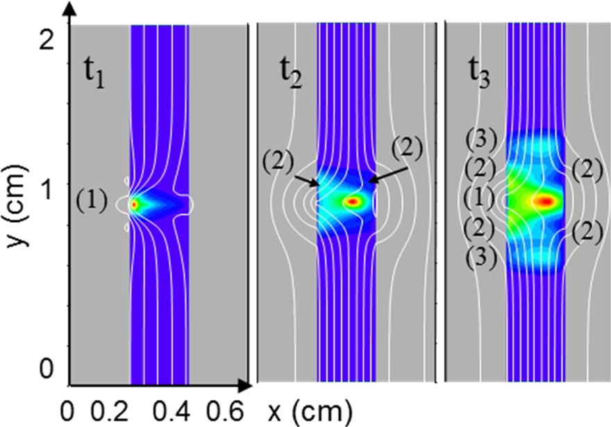 Pattern formation and dynamics of plasma filaments in dielectric ...
