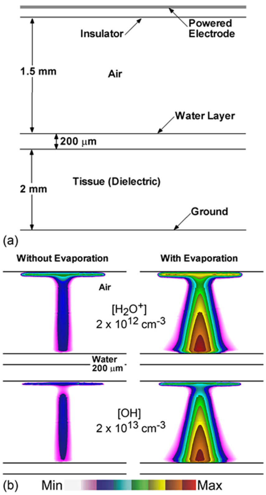 Plasma–liquid interactions: a review and roadmap - IOPscience