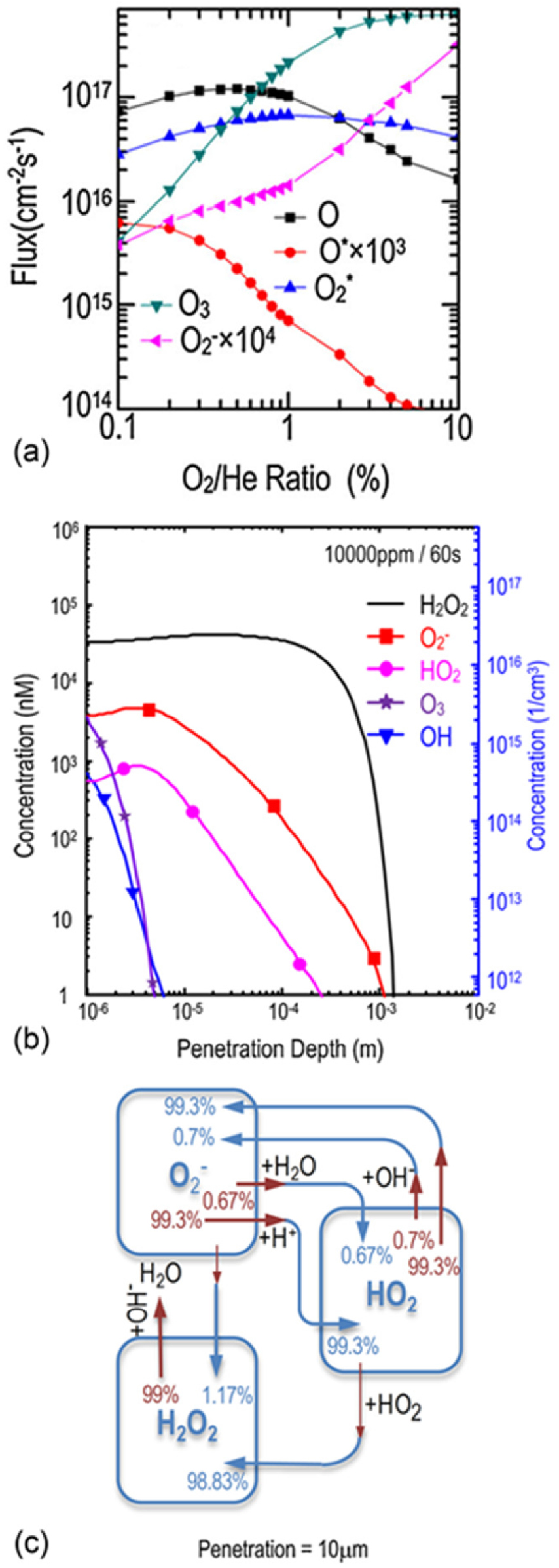Plasma–liquid interactions: a review and roadmap - IOPscience
