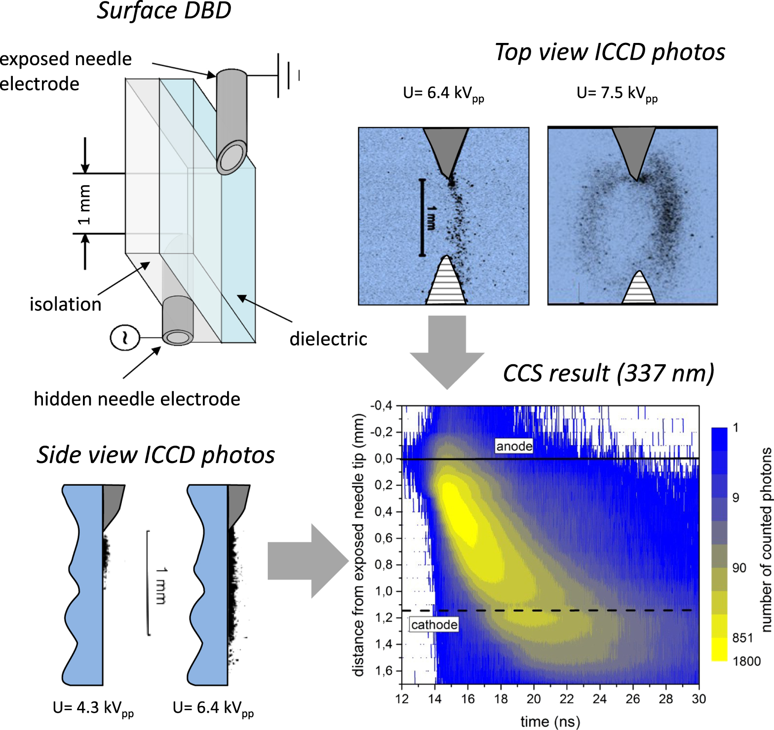 Dielectric barrier discharges: progress on plasma sources and on the ...