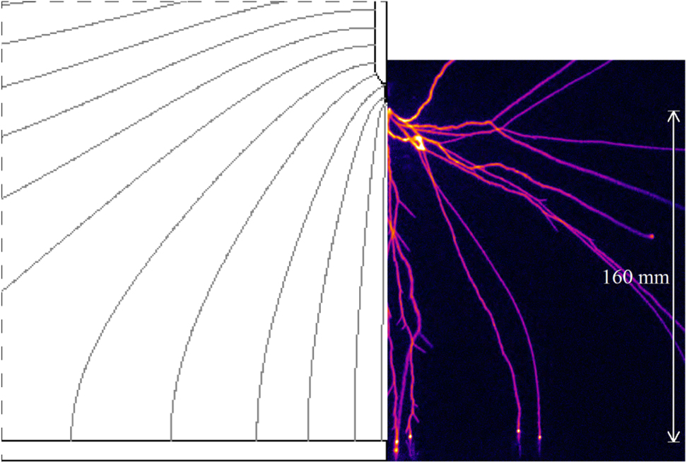 The physics of streamer discharge phenomena - IOPscience