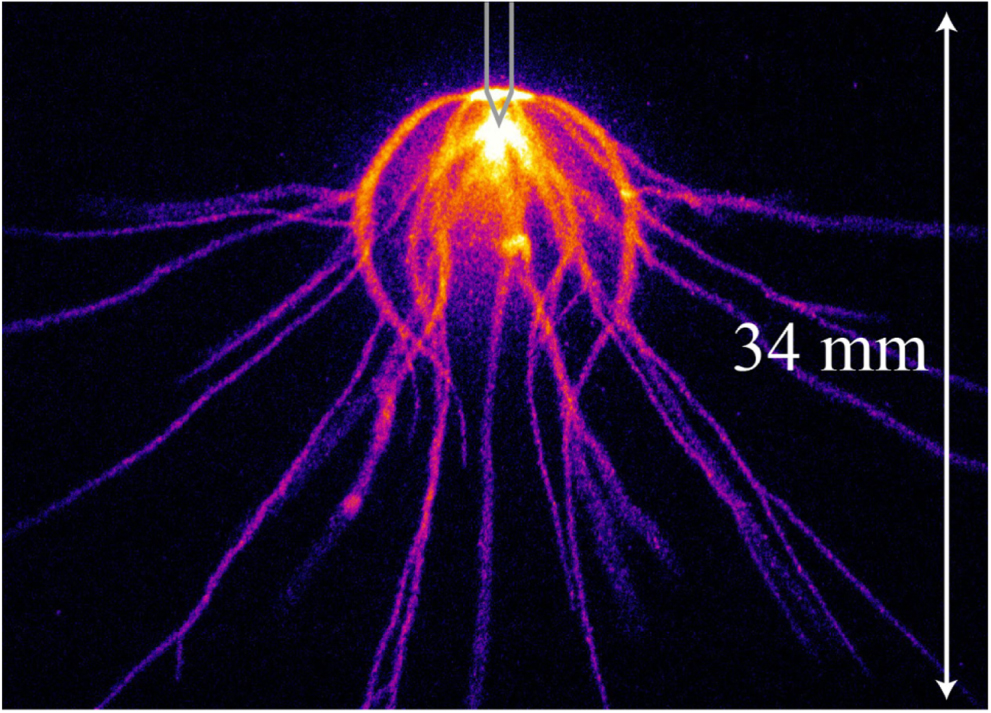 The physics of streamer discharge phenomena - IOPscience