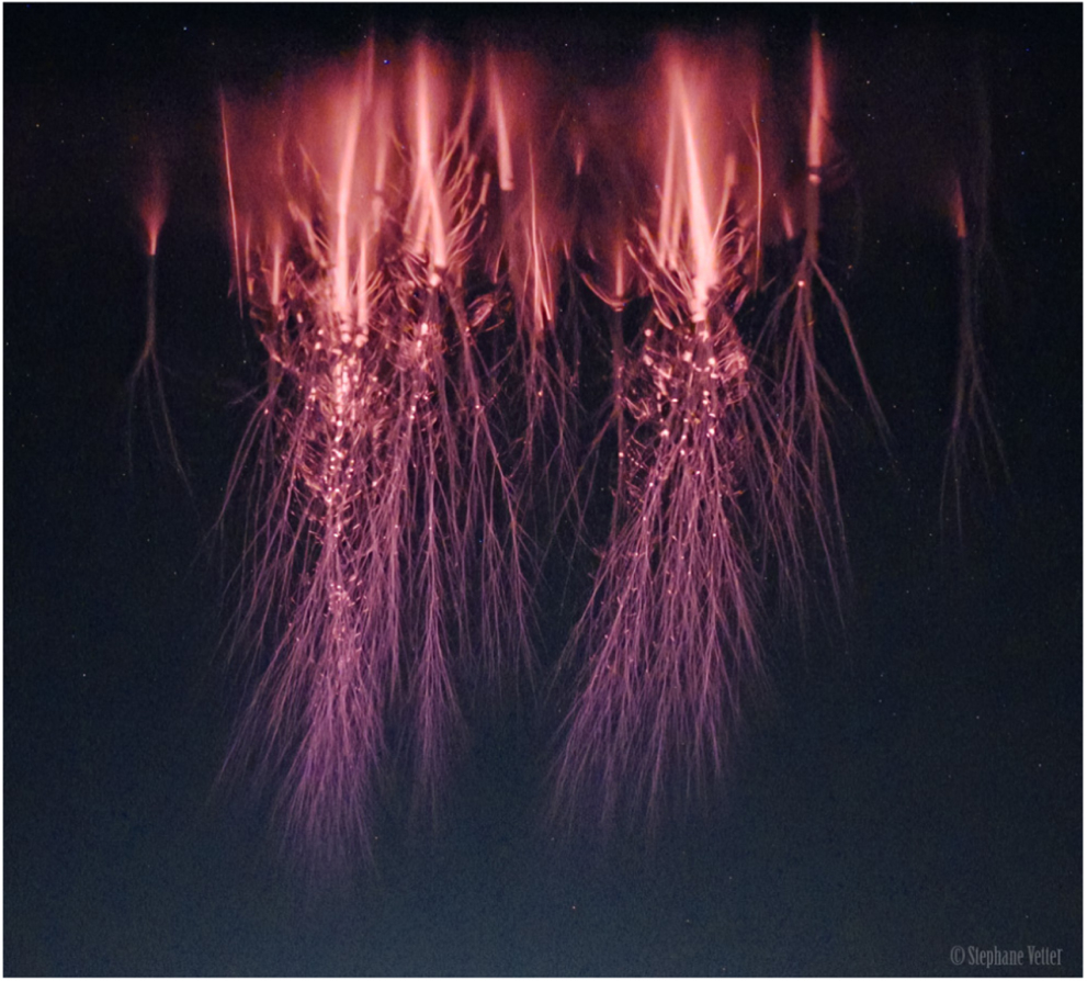 The physics of streamer discharge phenomena - IOPscience