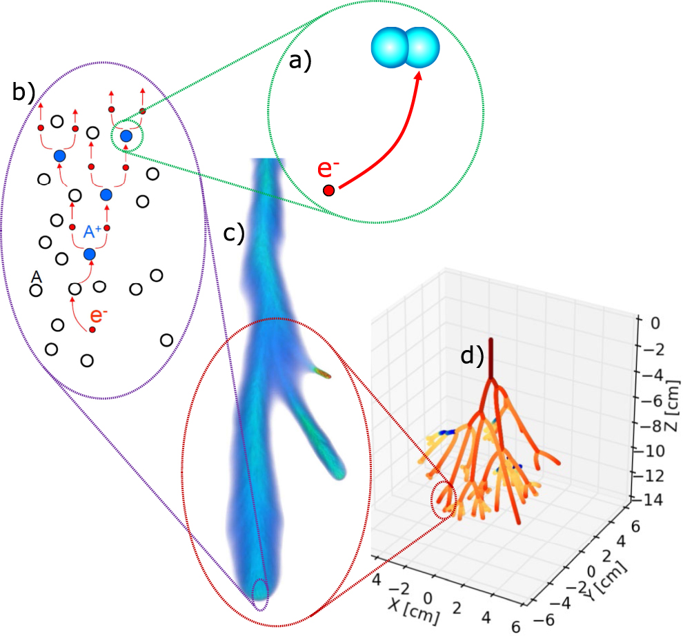 The physics of streamer discharge phenomena - IOPscience