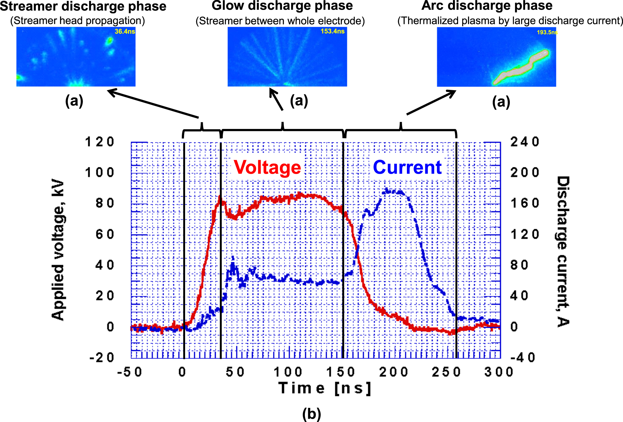 Nanosecond pulsed streamer discharges: II. Physics, discharge ...