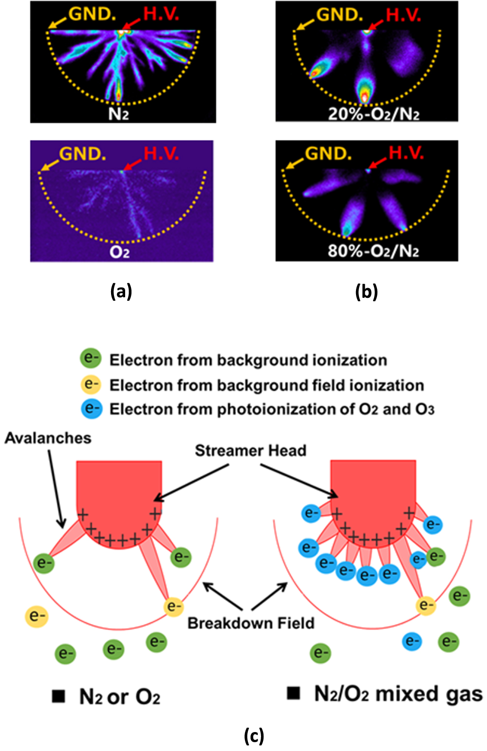 Nanosecond pulsed streamer discharges: II. Physics, discharge ...