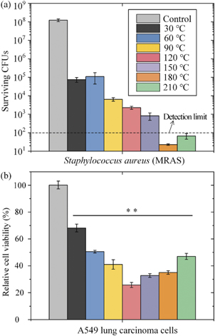 Effects of the ground-electrode temperature on the plasma ...