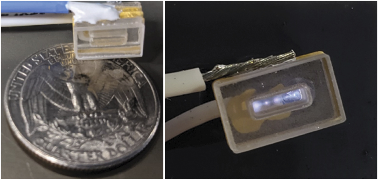 Foundations of plasma photonics: lamps, lasers, and electromagnetic ...