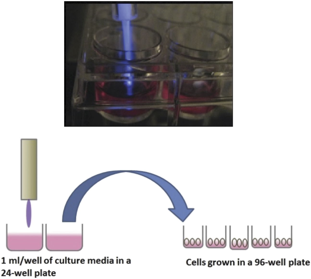 Foundations of plasmas for medical applications - IOPscience