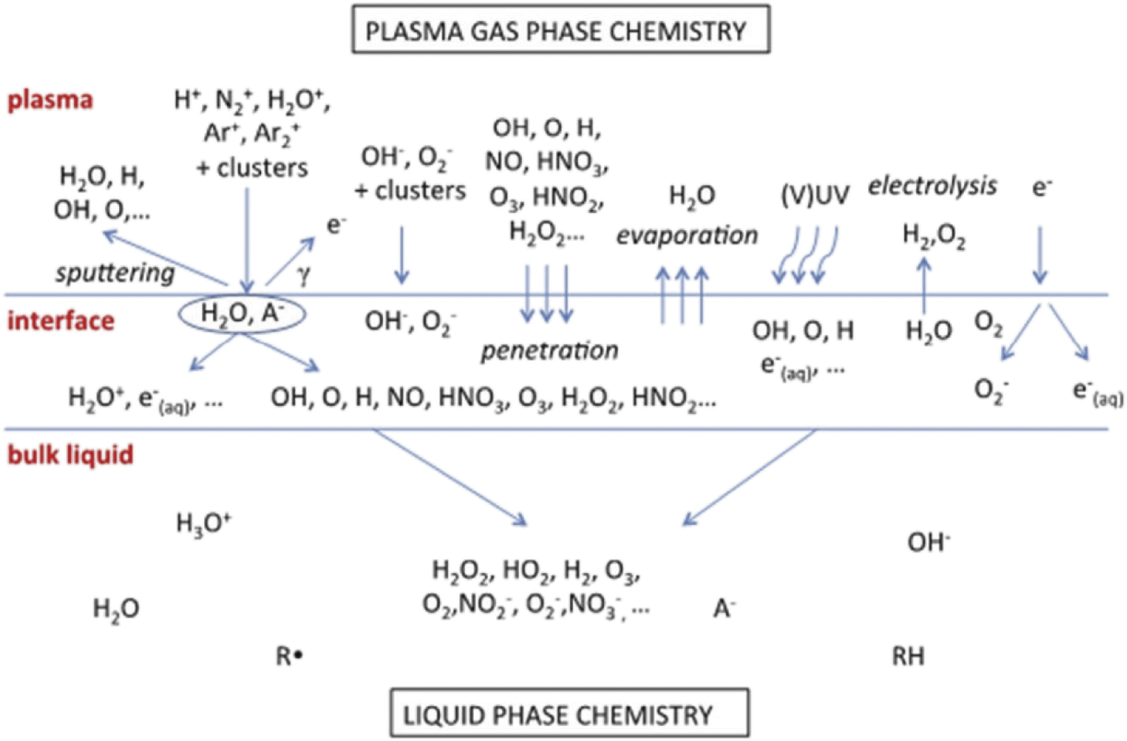 Foundations of plasmas for medical applications - IOPscience
