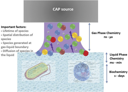 Foundations of plasmas for medical applications - IOPscience