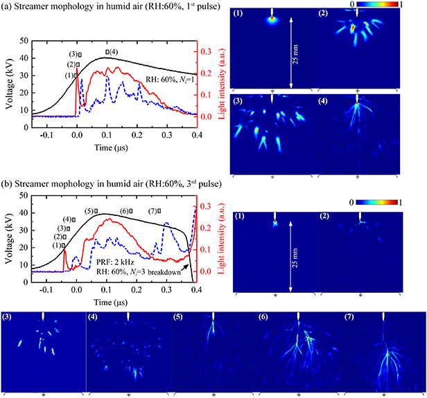 Evolutions of streamer dynamics and discharge instabilities under ...
