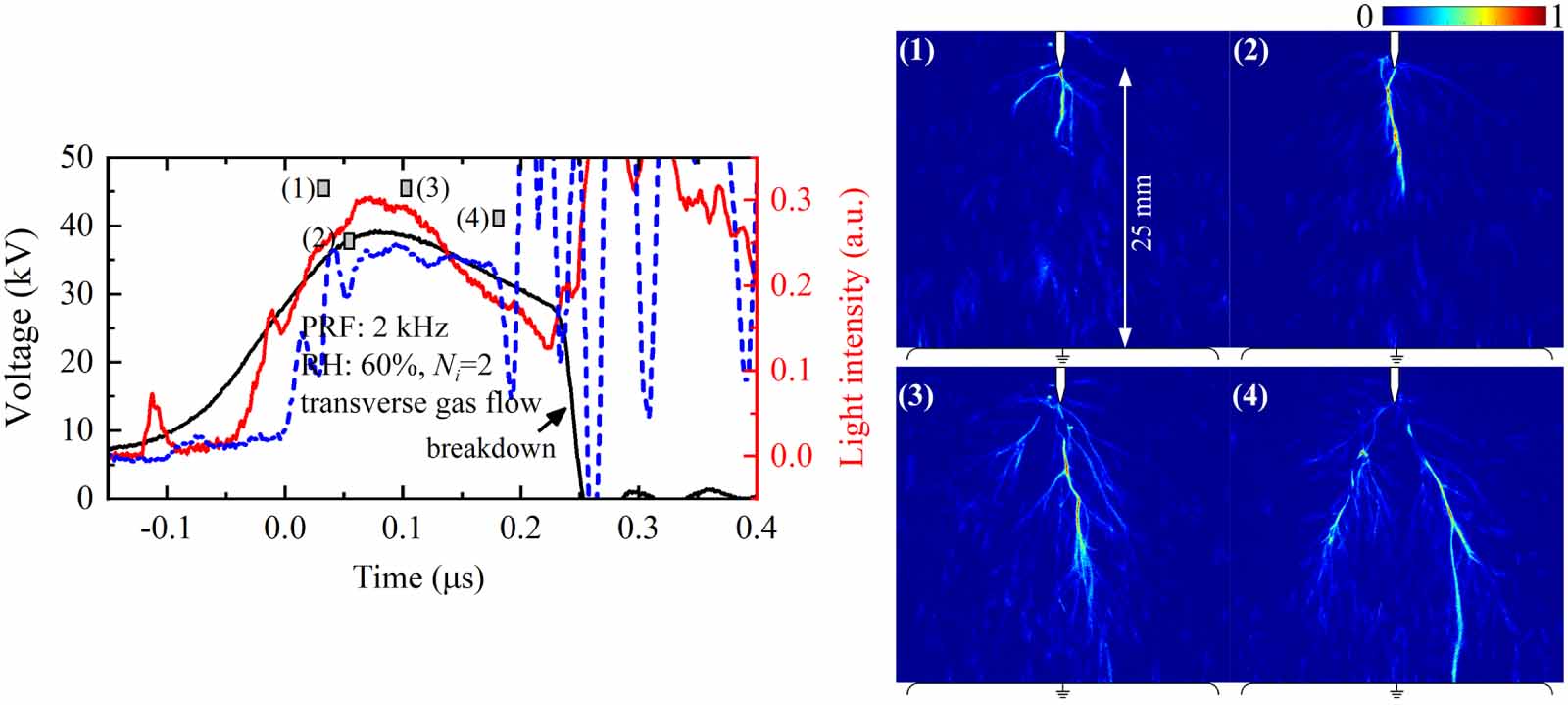 Evolutions of streamer dynamics and discharge instabilities under ...