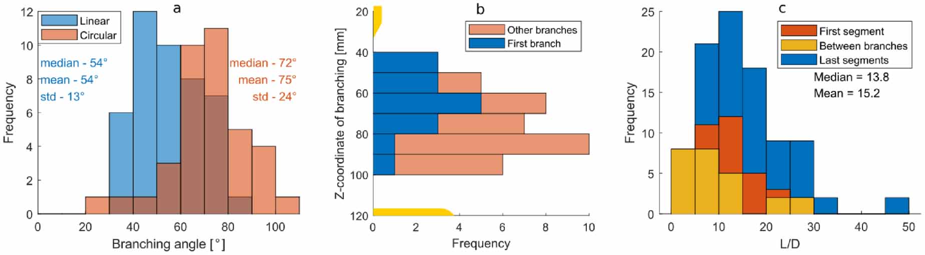 Imaging and reconstruction of positive streamer discharge tree ...