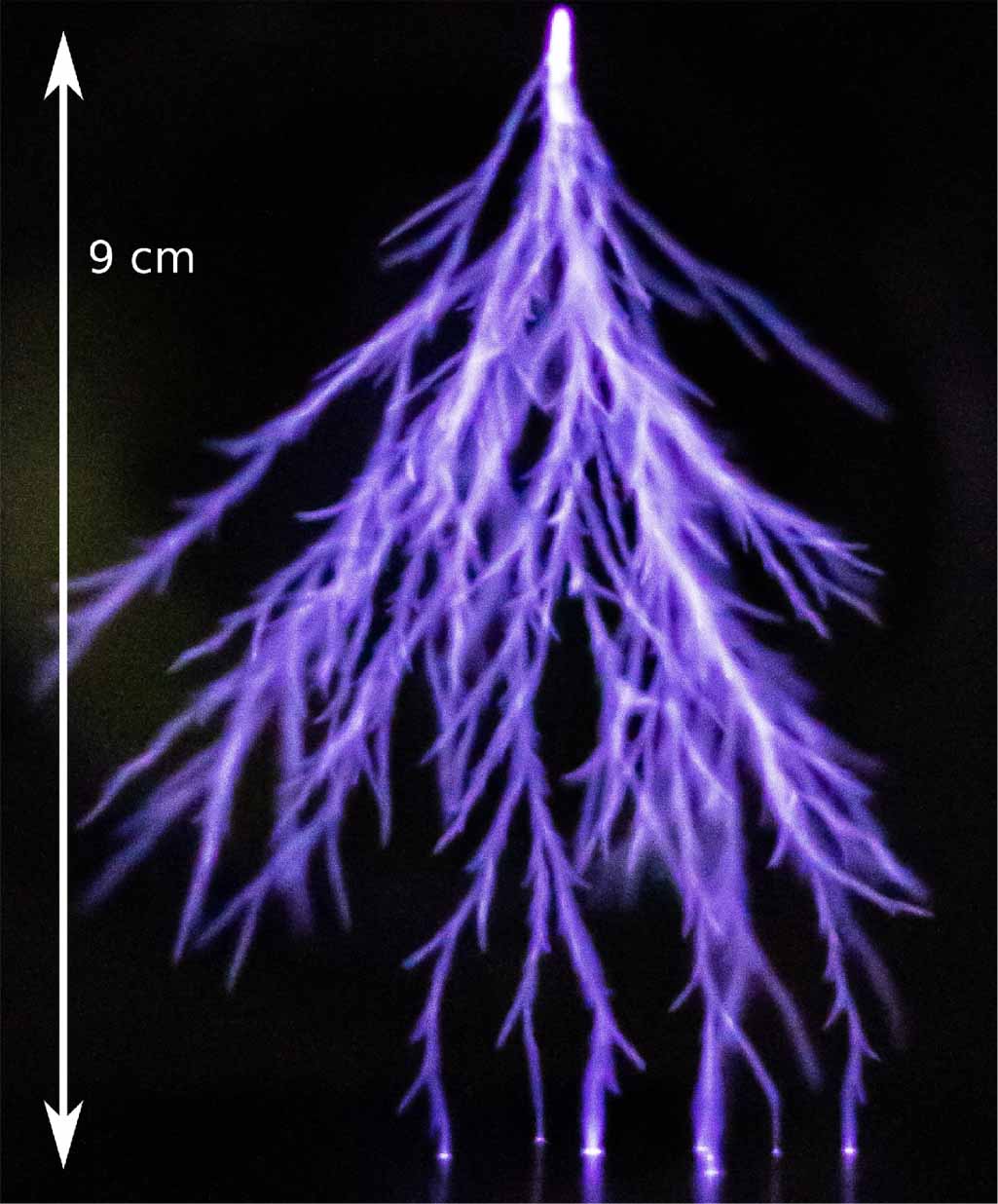 Imaging and reconstruction of positive streamer discharge tree ...