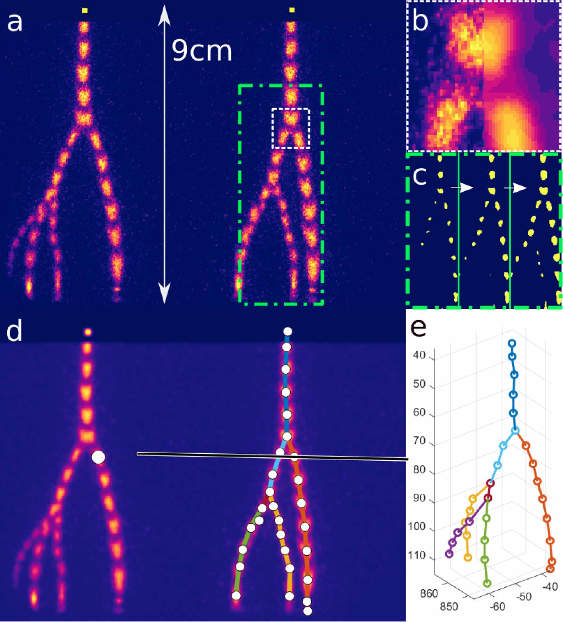 Imaging and reconstruction of positive streamer discharge tree ...