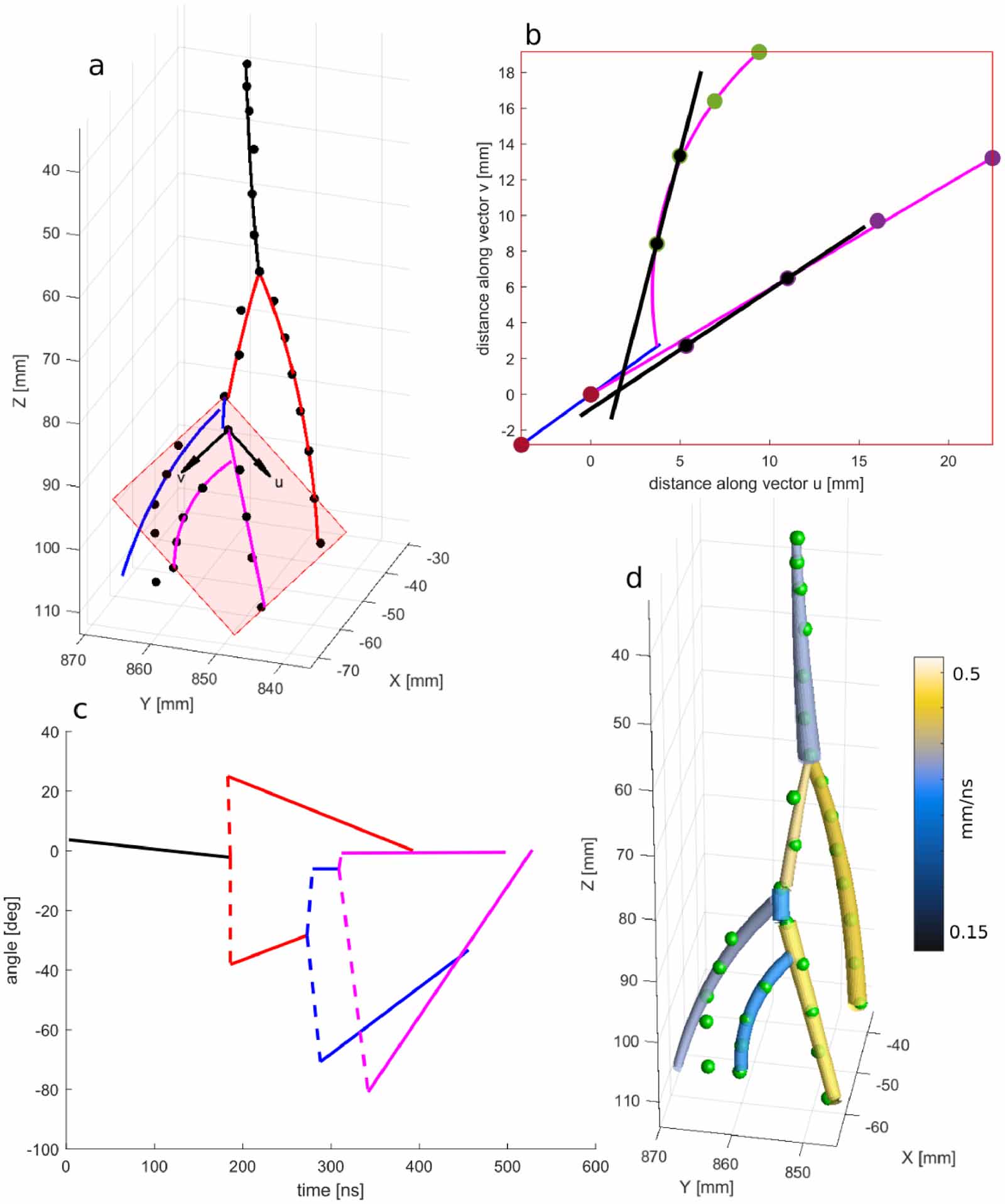 Imaging and reconstruction of positive streamer discharge tree ...