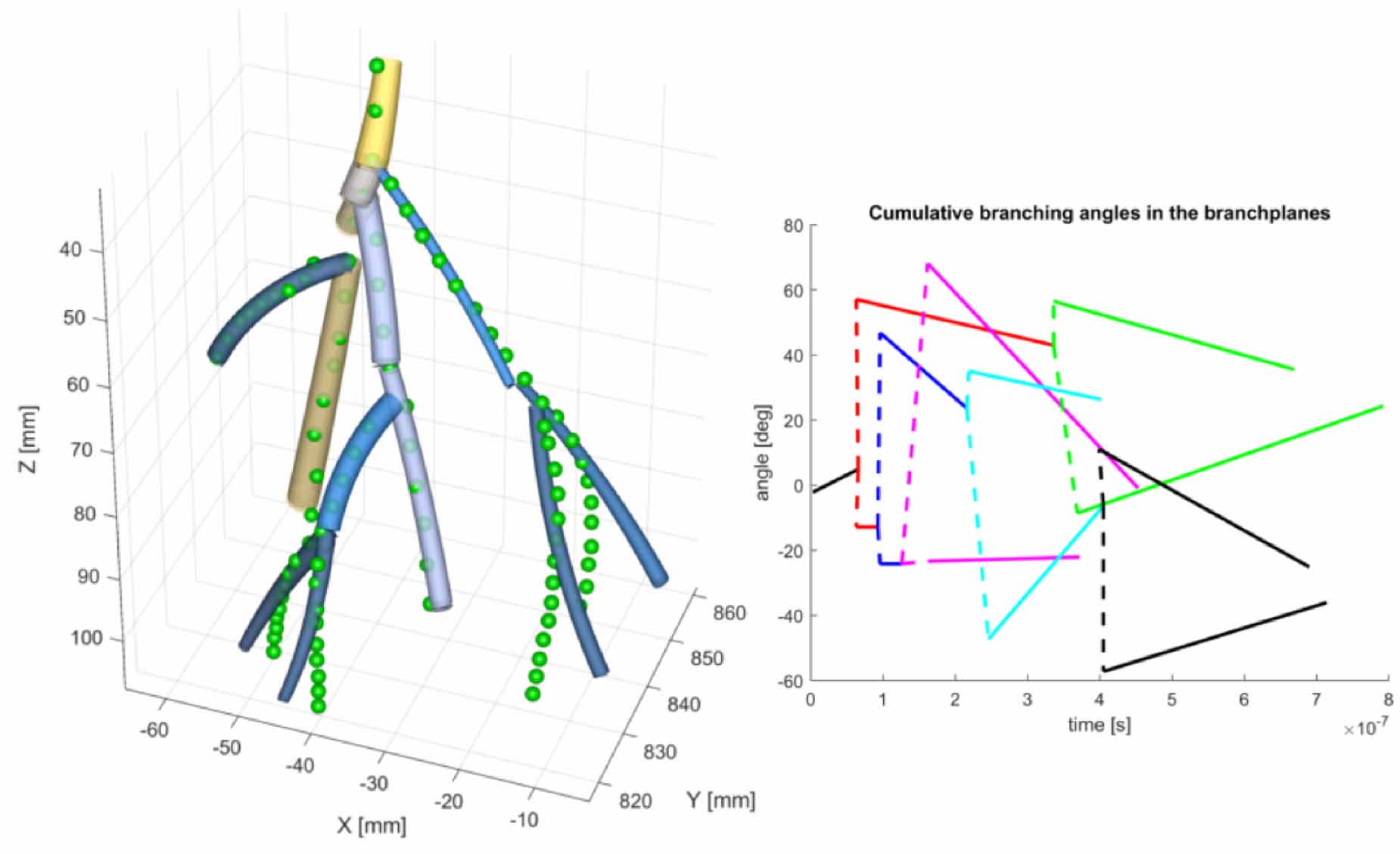 Imaging and reconstruction of positive streamer discharge tree ...