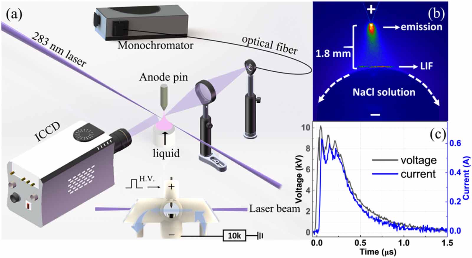 Plasma–liquid interactions: an experiment and simulation study on ...