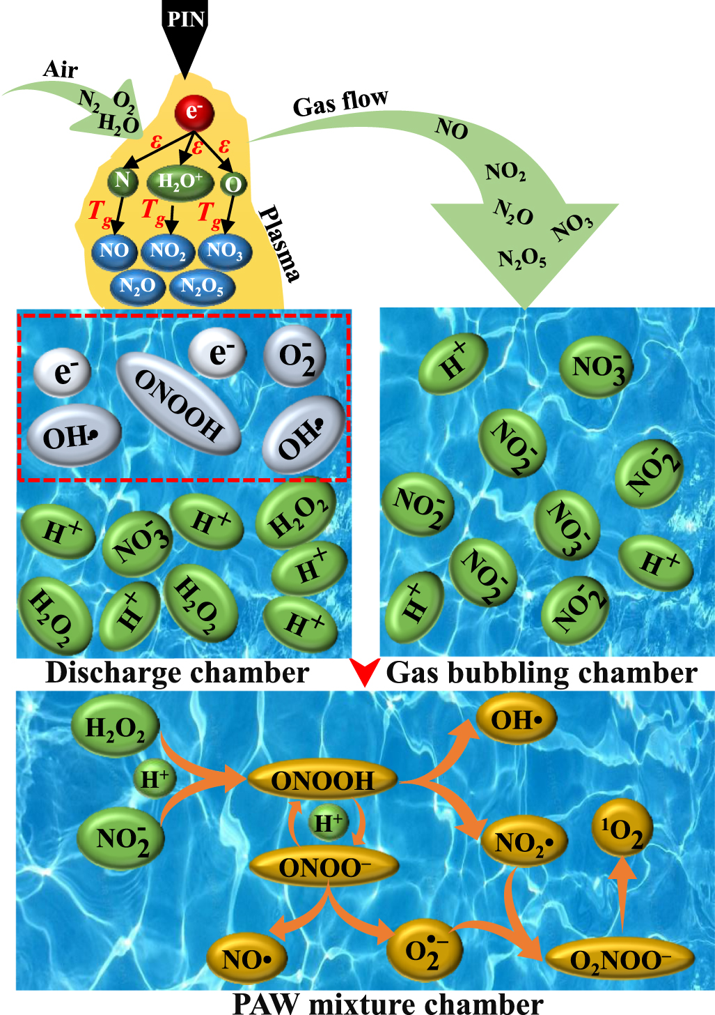 Ultralong-lasting plasma-activated water: production and control ...