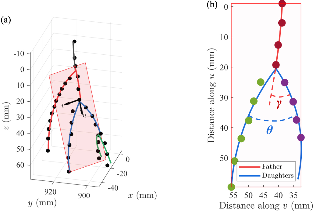 Statistical analysis on branching characteristics of positive streamer ...