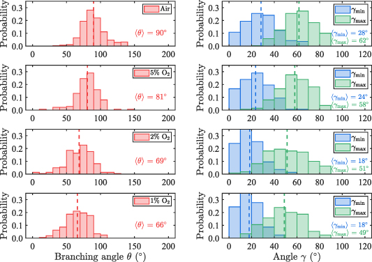 Statistical analysis on branching characteristics of positive streamer ...