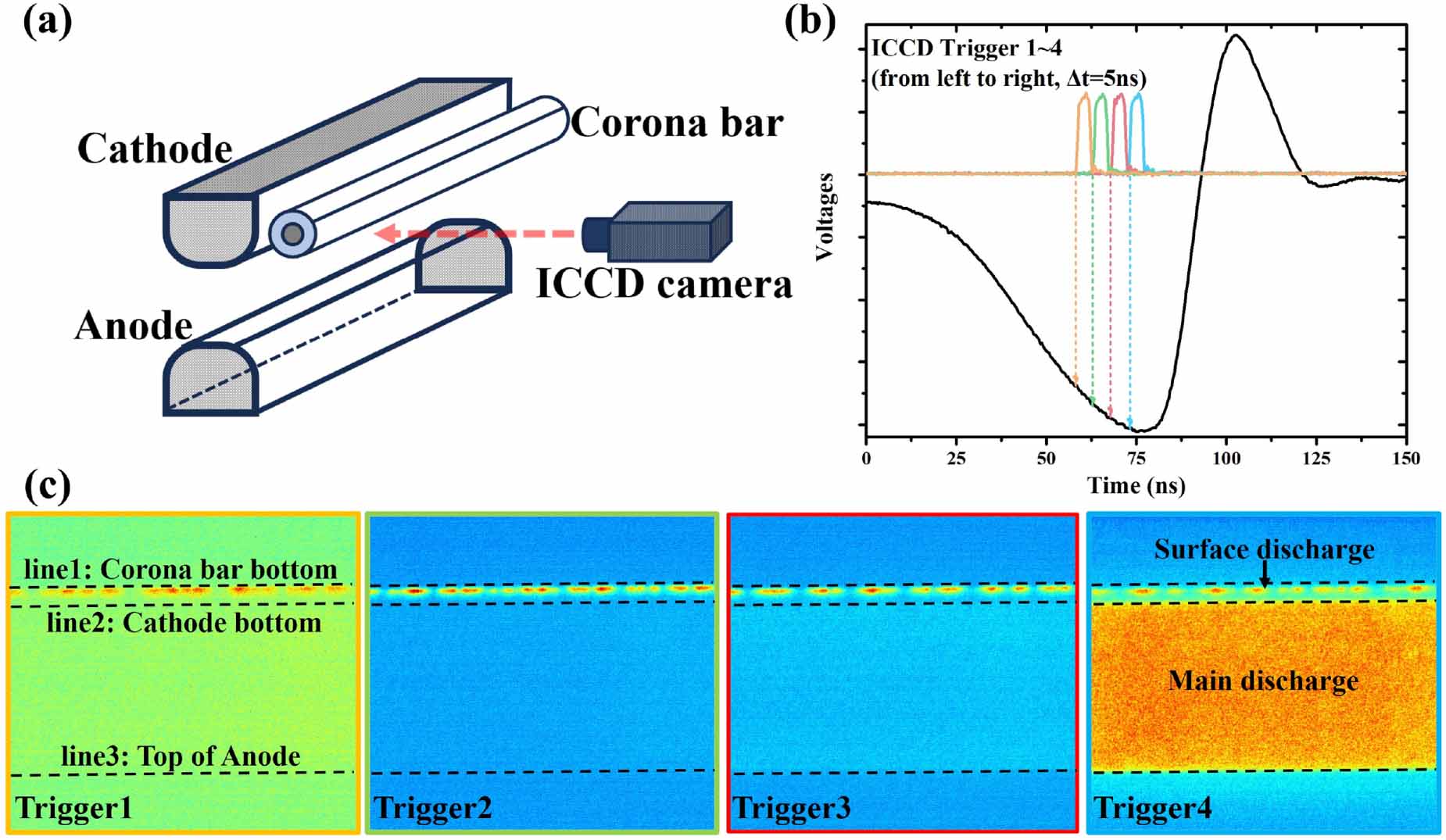 Numerical investigation of discharge evolution and breakdown ...