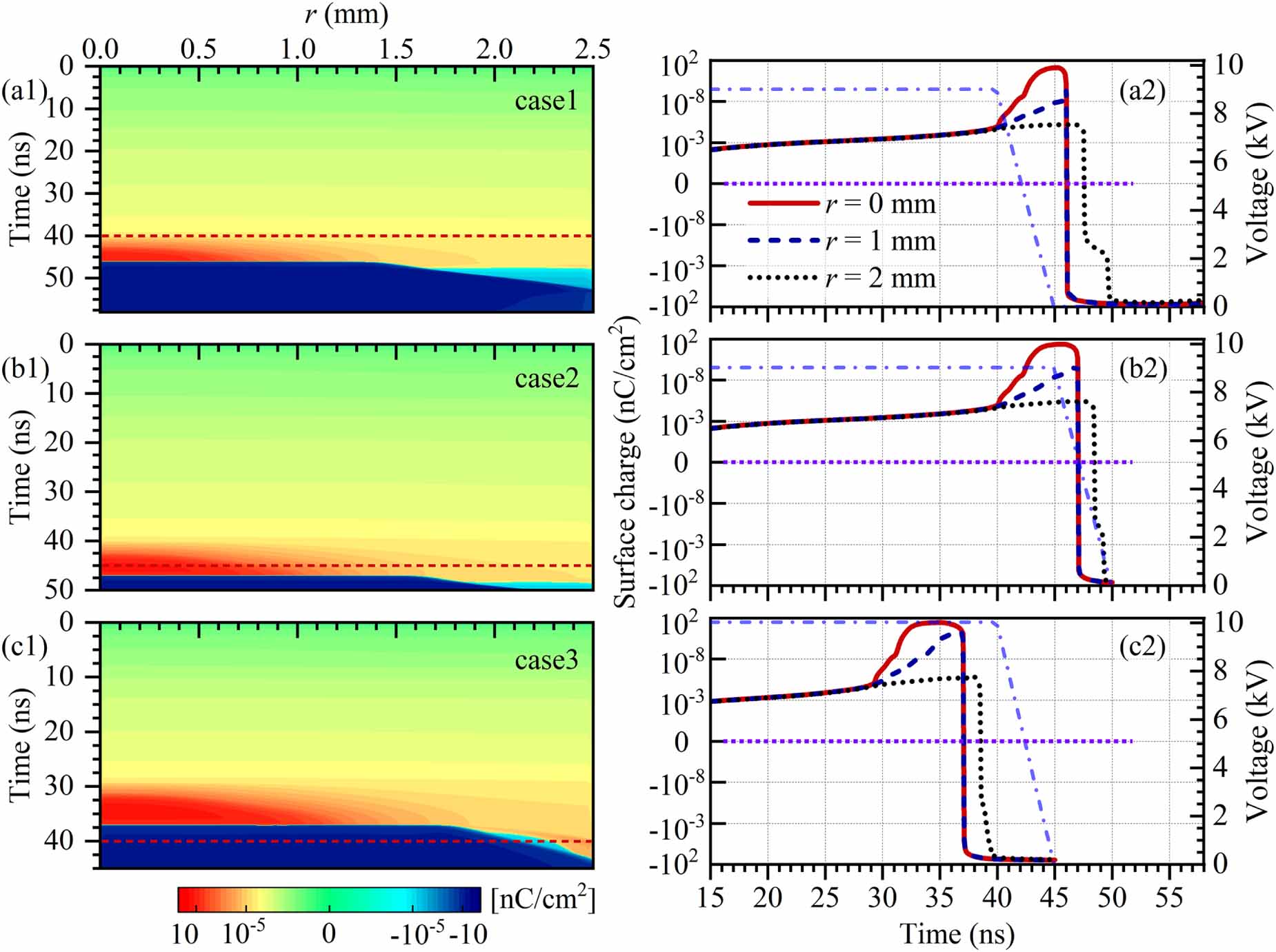 Numerical study of surface charge dynamics and its feedback on the ...