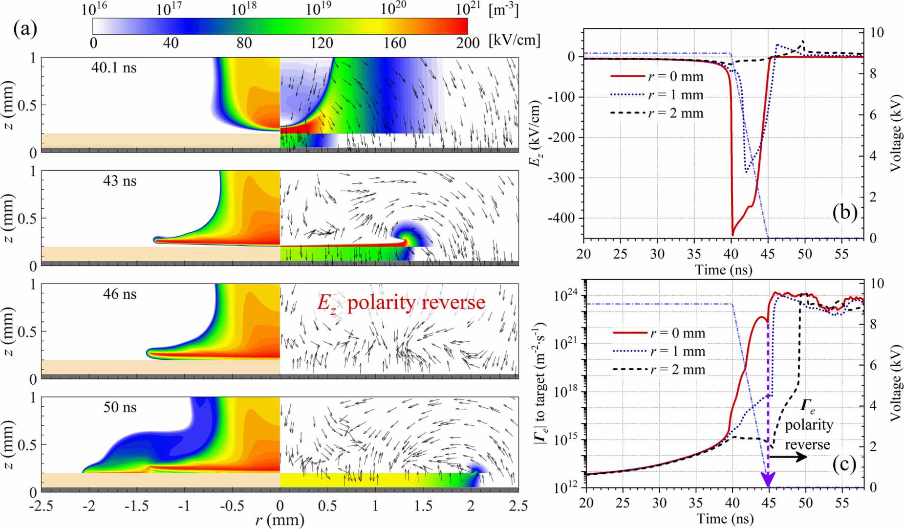 Numerical study of surface charge dynamics and its feedback on the ...