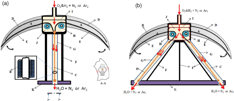 Hydrogen-fuel-powered bell segments of biomimetic jellyfish - IOPscience