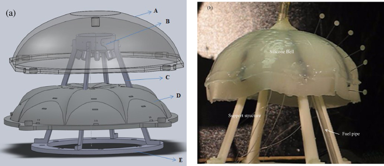 Hydrogen-fuel-powered bell segments of biomimetic jellyfish - IOPscience