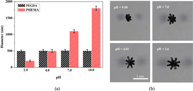 Magnetic actuated pH-responsive hydrogel-based soft micro-robot for ...