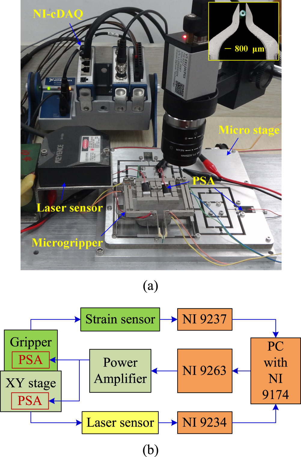 Design and control of a multi-DOF micromanipulator dedicated to ...