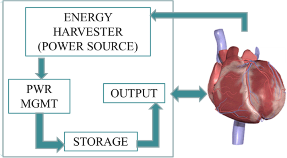 Using an elastic magnifier to increase power output and performance of ...