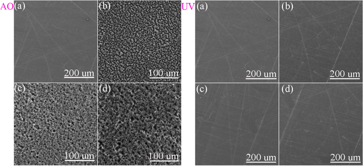 Study on performances of colorless and transparent shape memory ...