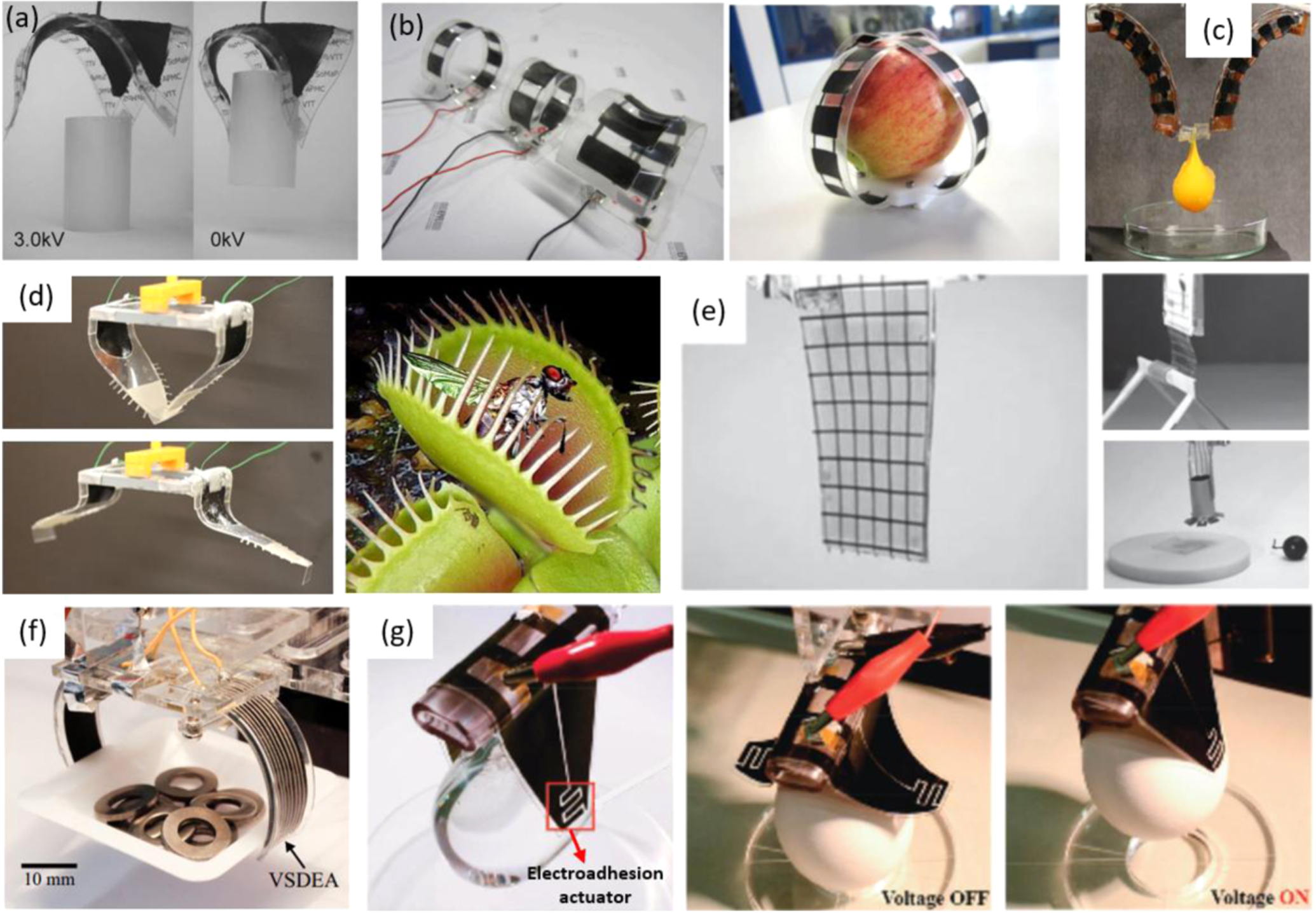 Soft robots based on dielectric elastomer actuators: a review - IOPscience