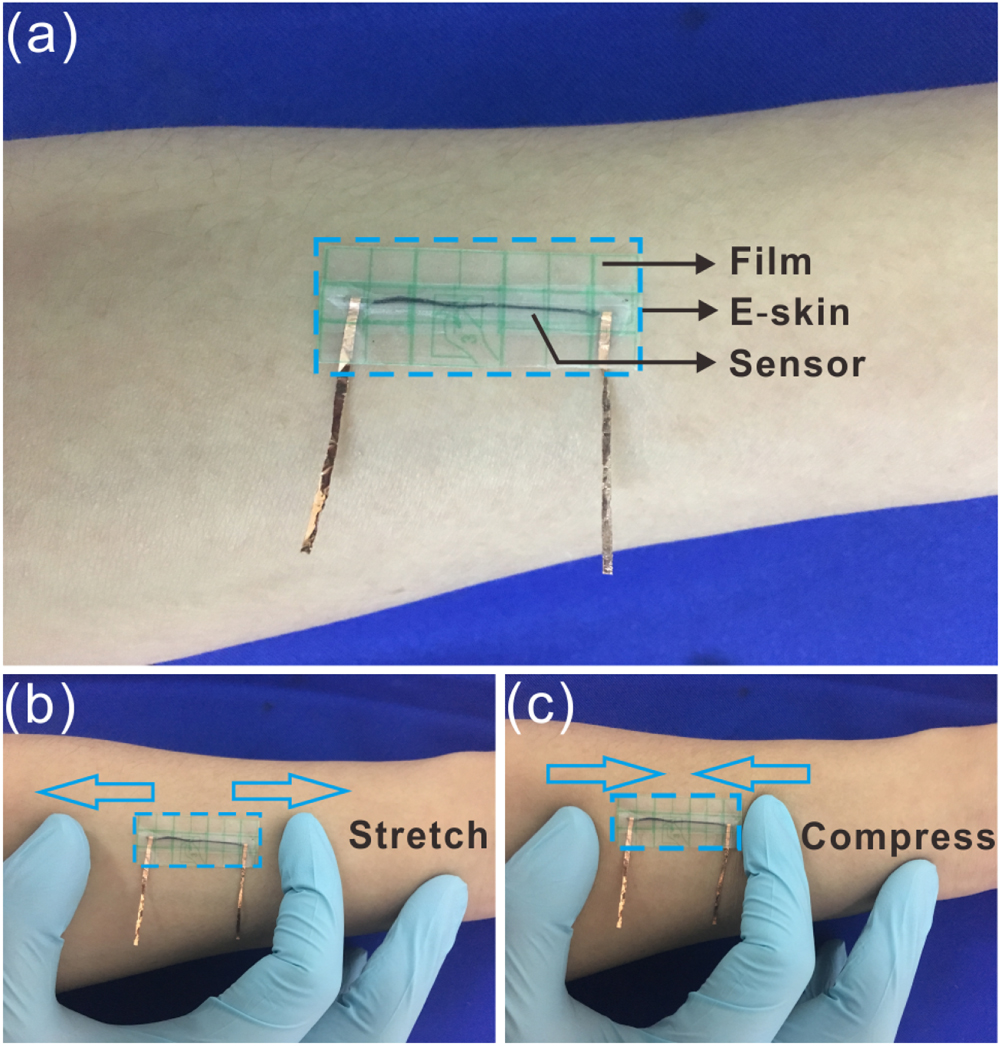 Highly sensitive flexible strain sensor based on threadlike spandex ...